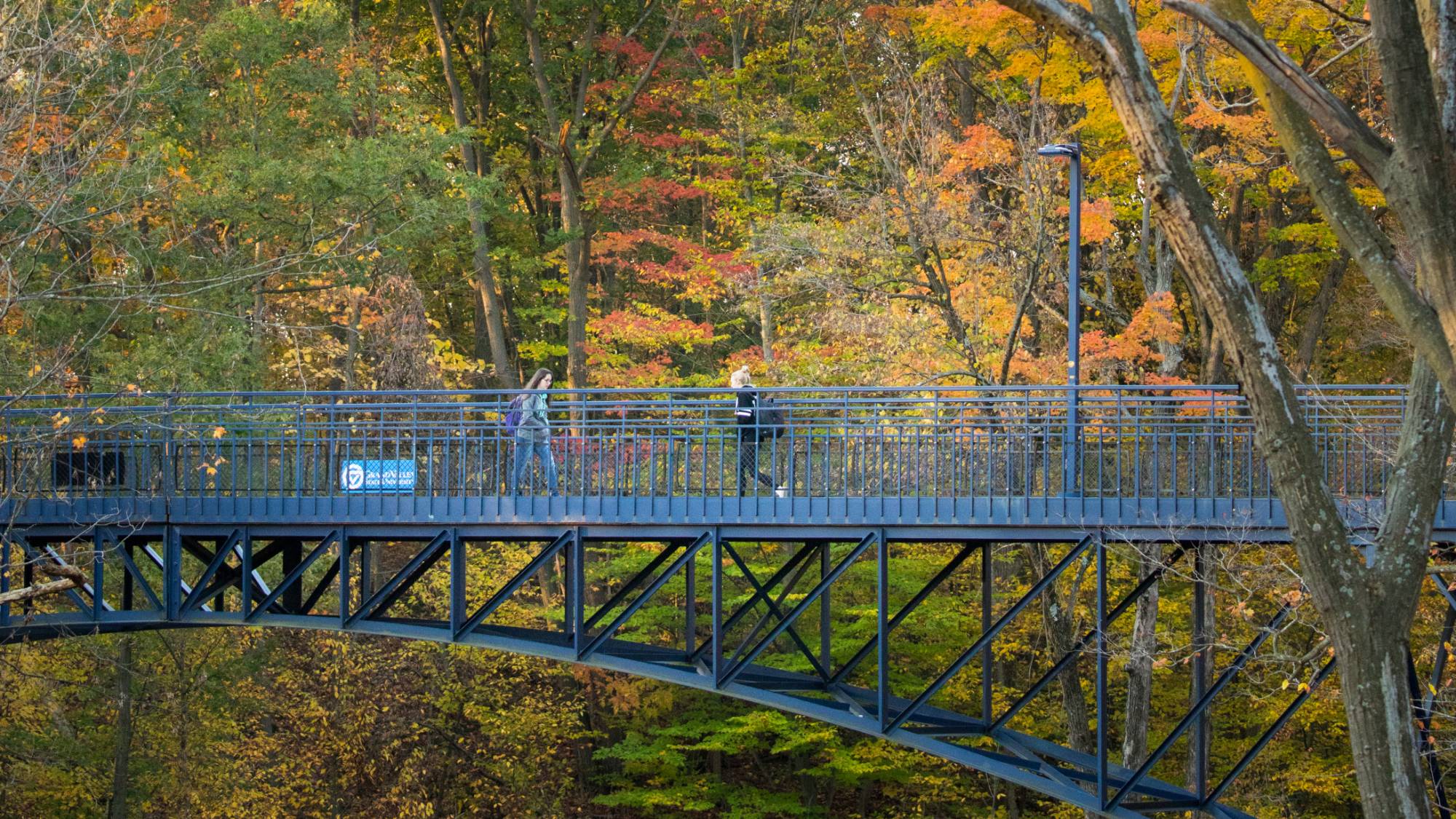 Downloads & Wallpapers - Social Media at Grand Valley State University ...