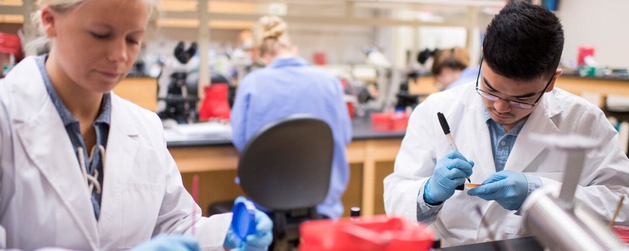 Mission, Vision, and Values - Medical Laboratory Science - Grand Valley ...