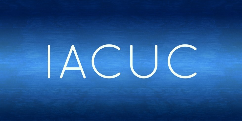 Lab Safety - Grand Valley State University