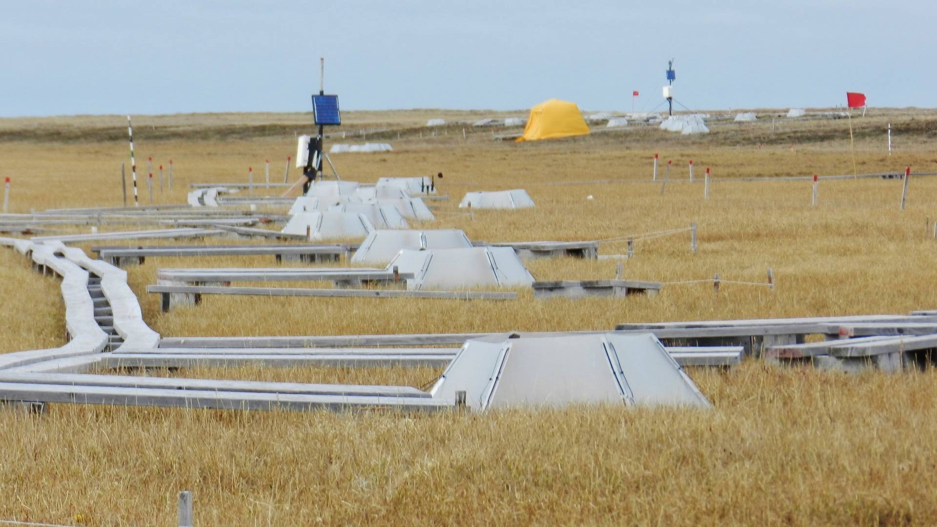 Research in Utqiagvik - Arctic Ecology Program (AEP) - Grand Valley ...