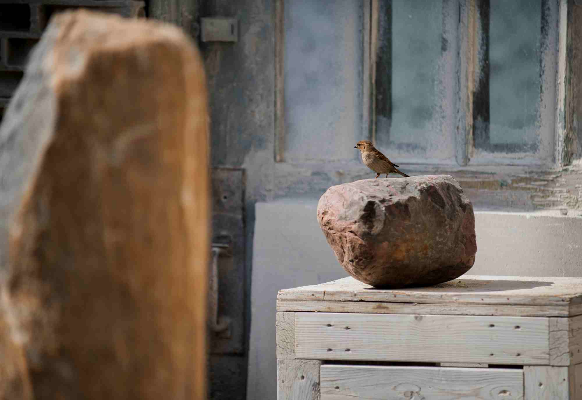 Earth Totem - Akii Ndodem - Grand Valley Magazine