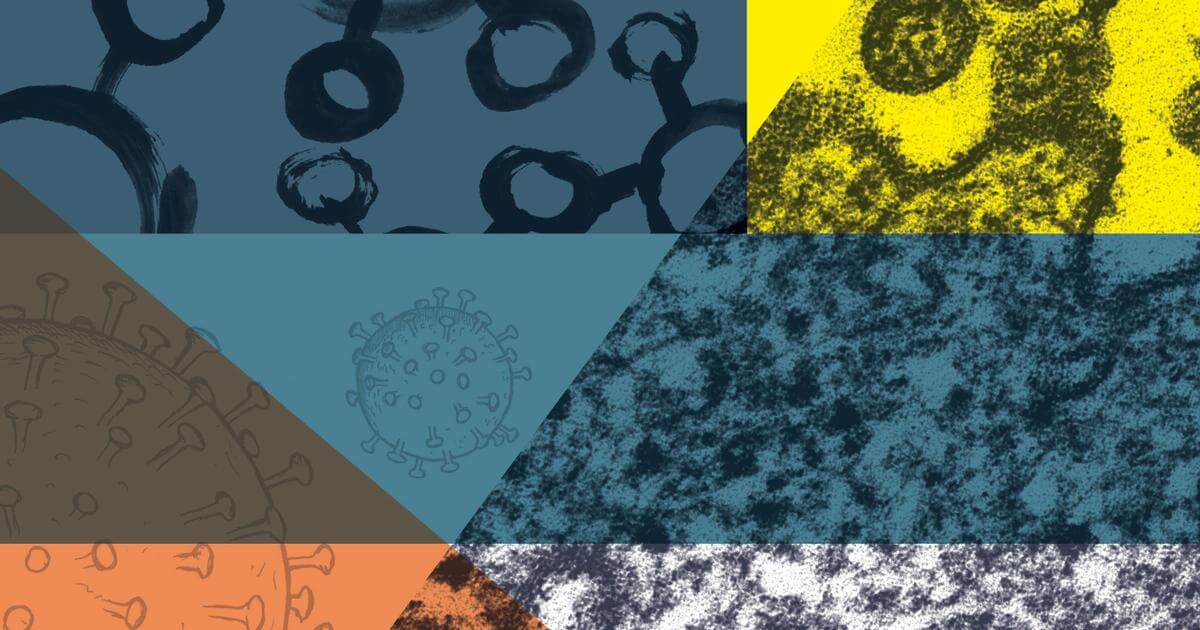 The academic approach to COVID-19 - - Grand Valley Magazine