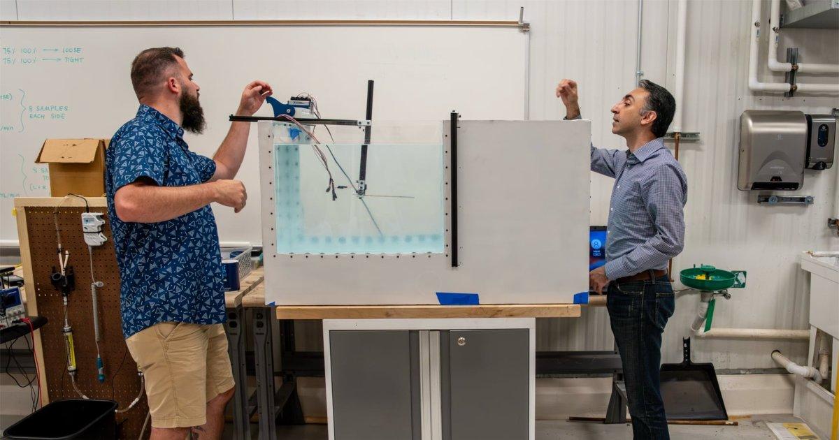 Engineering student 'hammers out' research project with faculty member ...