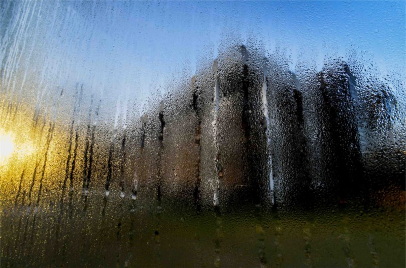 GVSU in Photos, January 2026: Amid the unrelenting cold and snow, fun ...