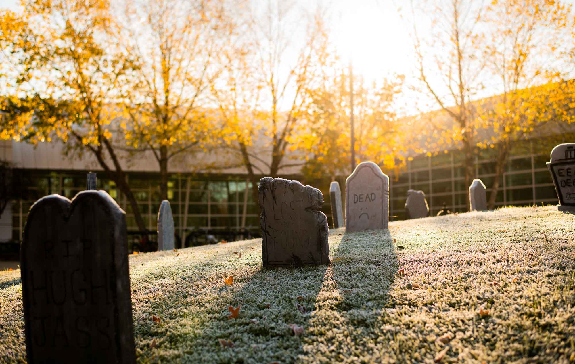 GVSU in photos, October 2022: Tombstones, favorite studying spots and ...