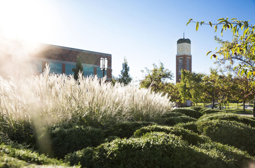 Tour the Cook Carillon Tower December 5 - GVNext