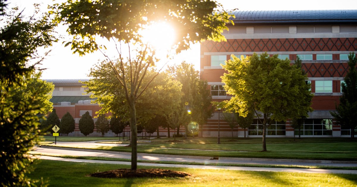 New database serves as central location for all GVSU mental health ...