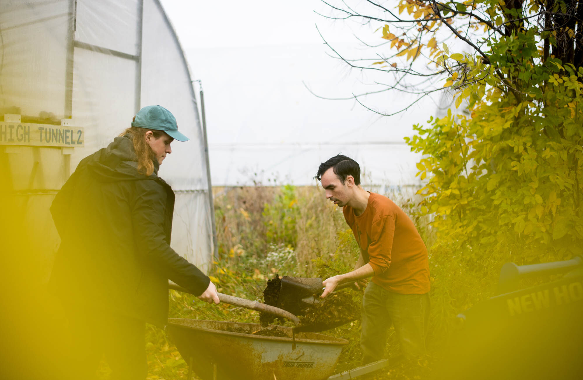 Harvest: Sustainability Month at GVSU and the SAP Farm - GVNext