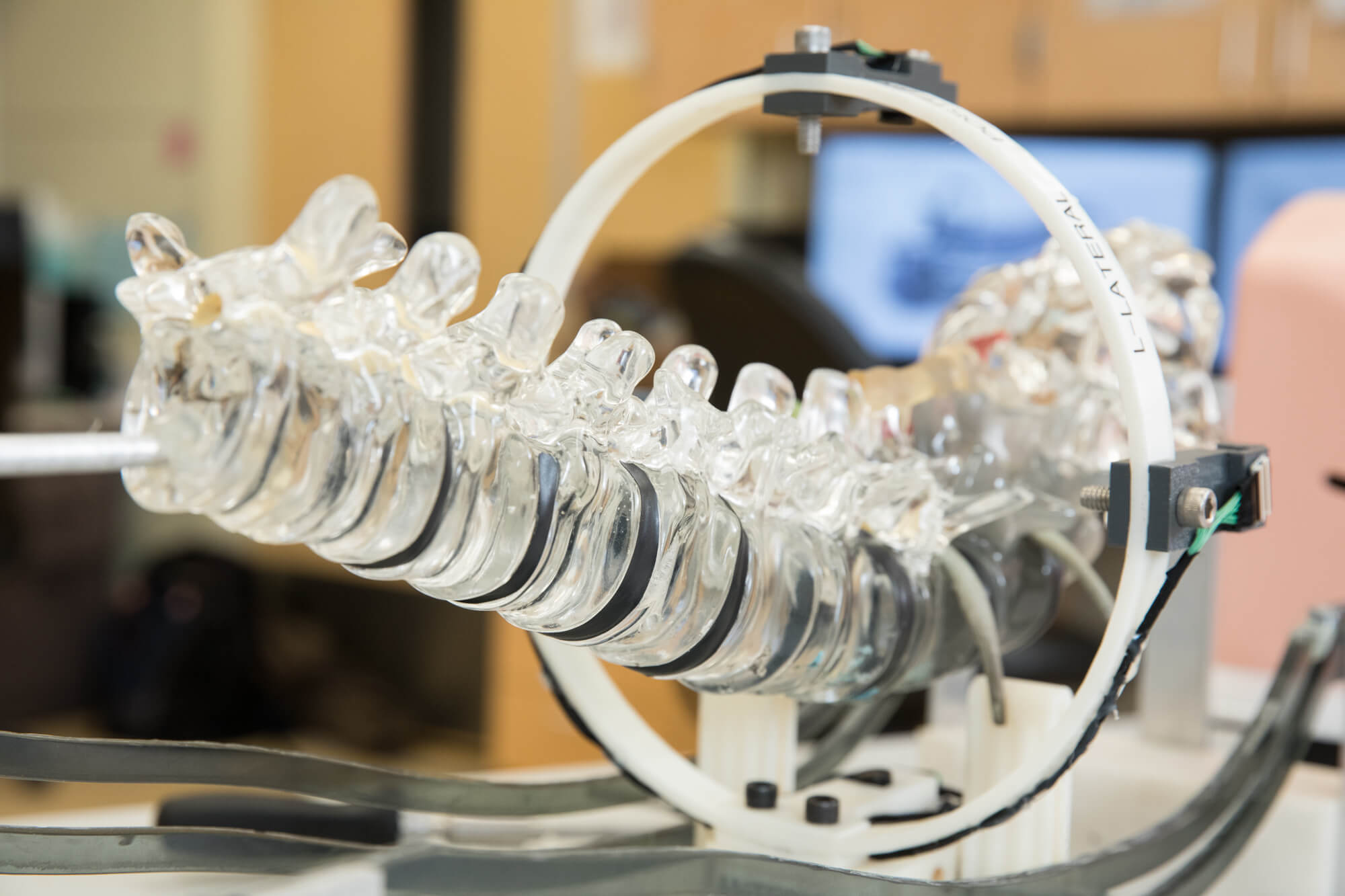 GVSU group helps develop device that improves spine surgery training ...