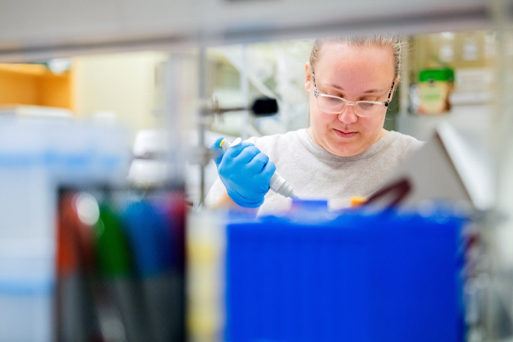 GVSU biochemistry researchers studying why opossums can resist venom of ...