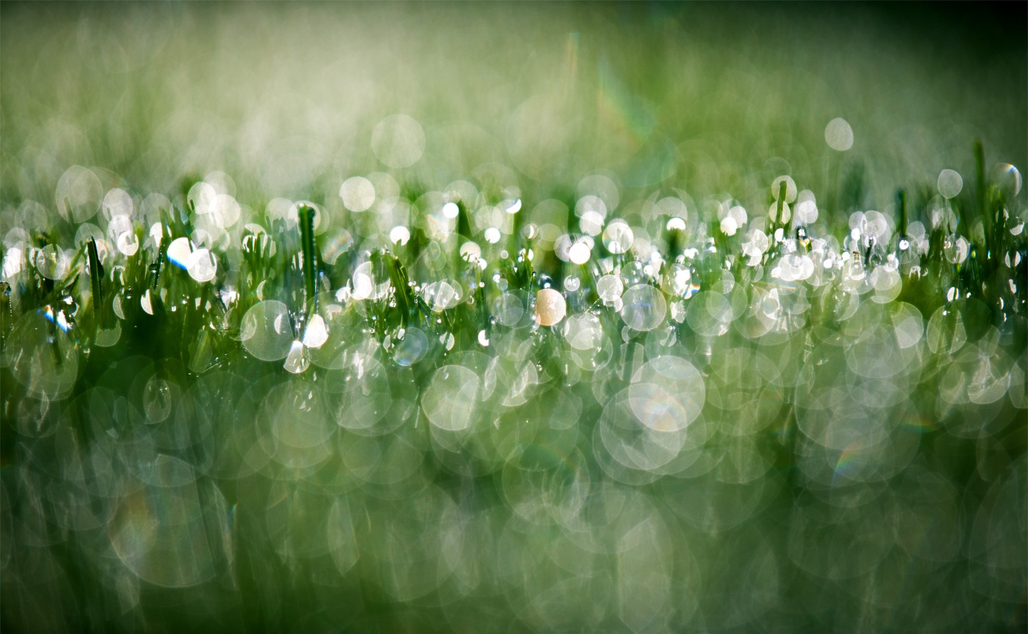 GVSU in photos, May 2025: Spring bursts forth in Grand Valley style and ...