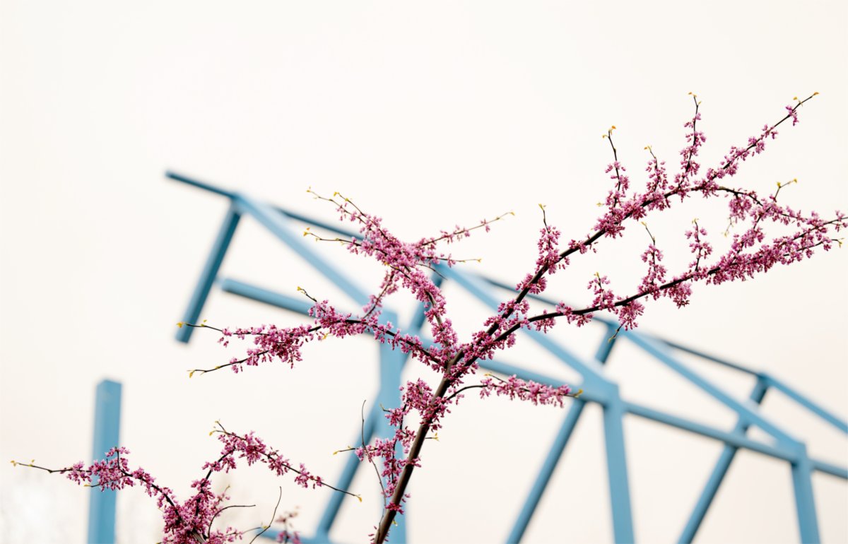 GVSU in photos, May 2025: Spring bursts forth in Grand Valley style and ...