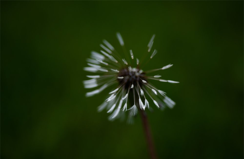 GVSU in photos, May 2025: Spring bursts forth in Grand Valley style and ...