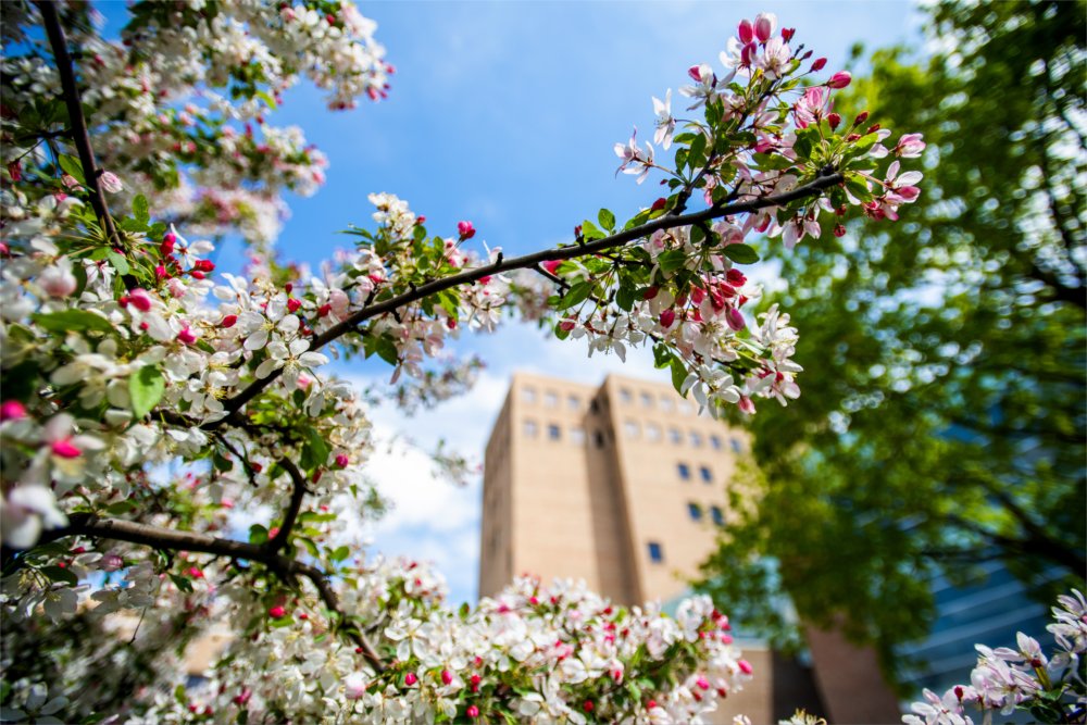 GVSU in photos, May 2025: Spring bursts forth in Grand Valley style and ...
