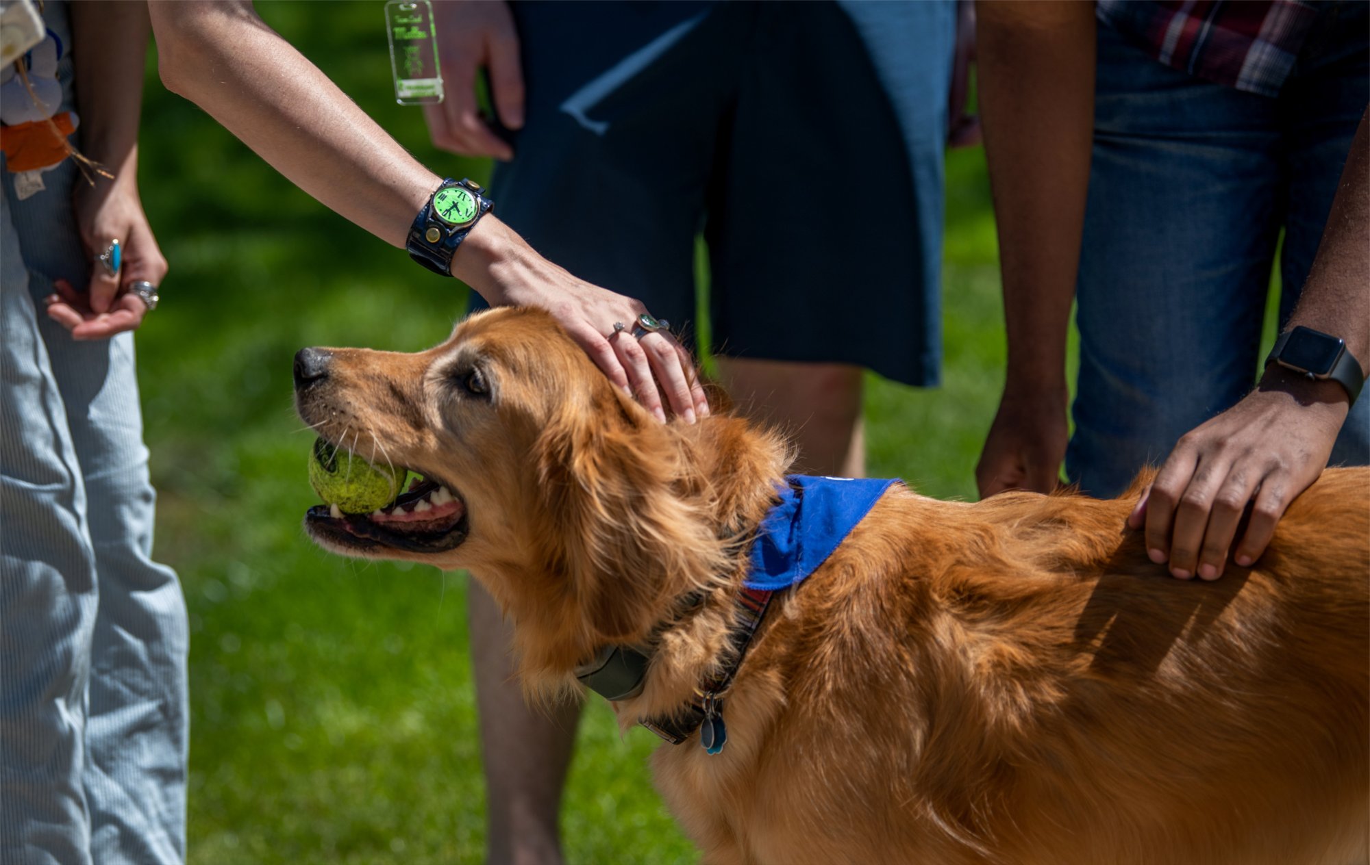 GVSU in photos, May 2025: Spring bursts forth in Grand Valley style and ...